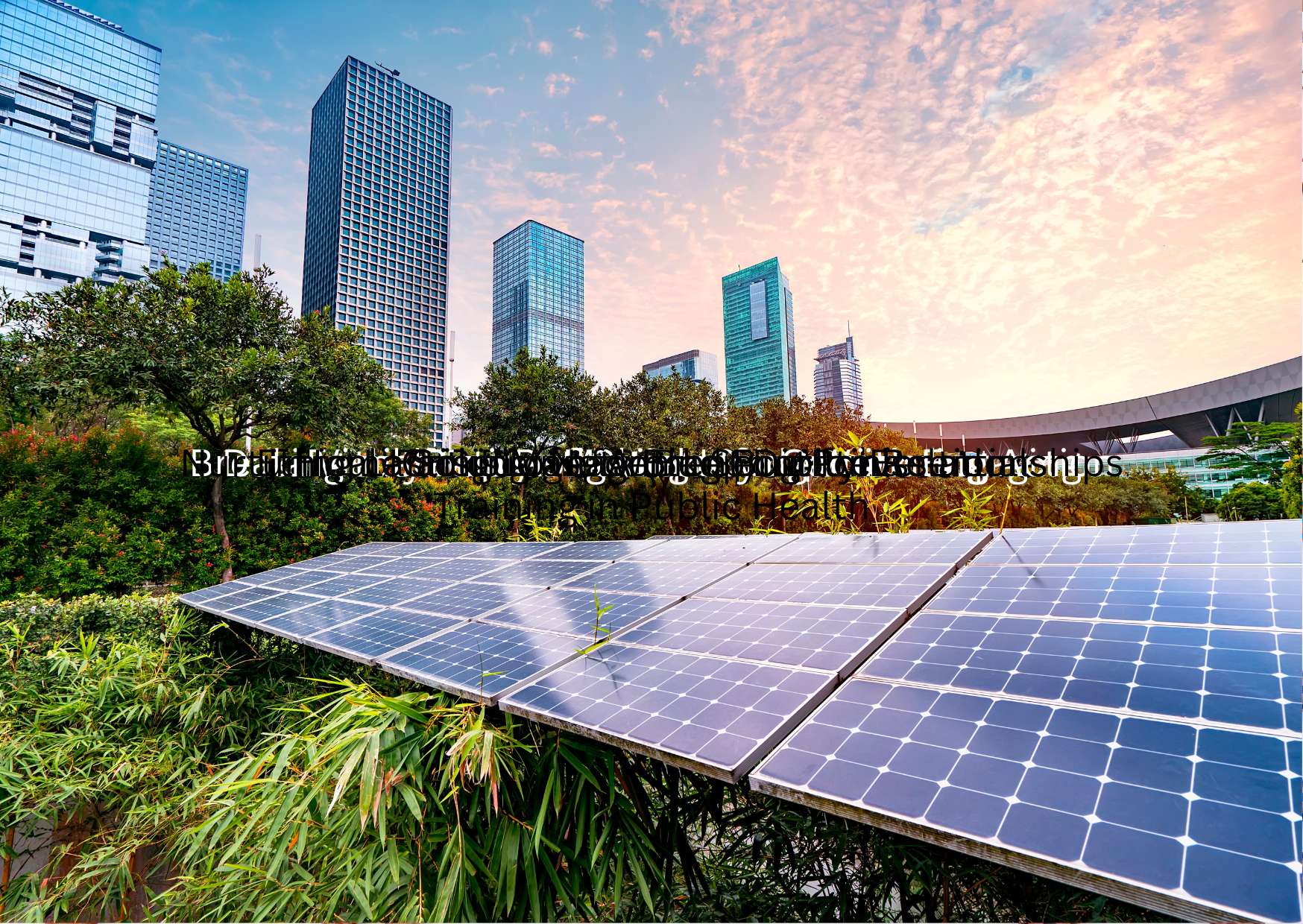 Renewable Energy Training Program - Skill Edge